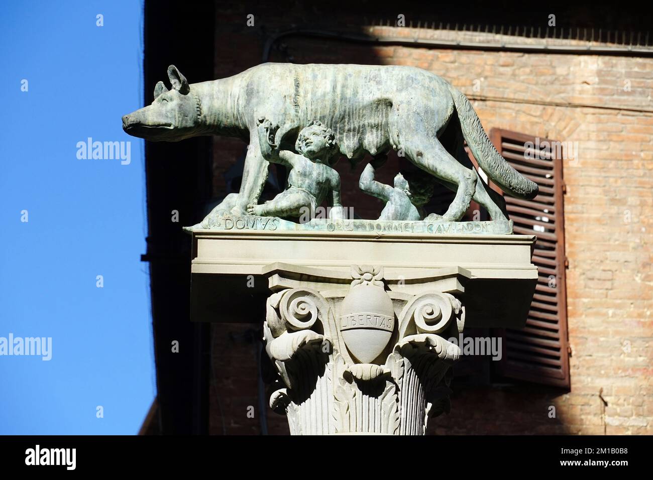 Colonna con lupa senese hi-res stock photography and images - Alamy