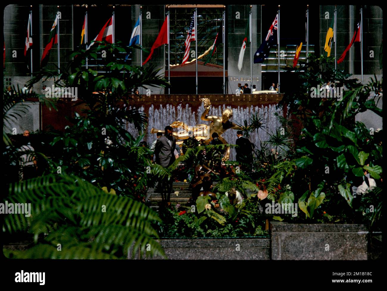 View of Prometheus statue through plants, Rockefeller Center, Manhattan ...