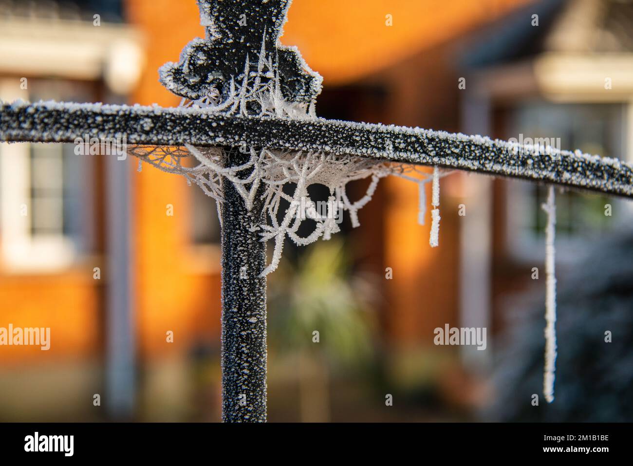 Green vegetation and other objects covered with frost , after frost in ...
