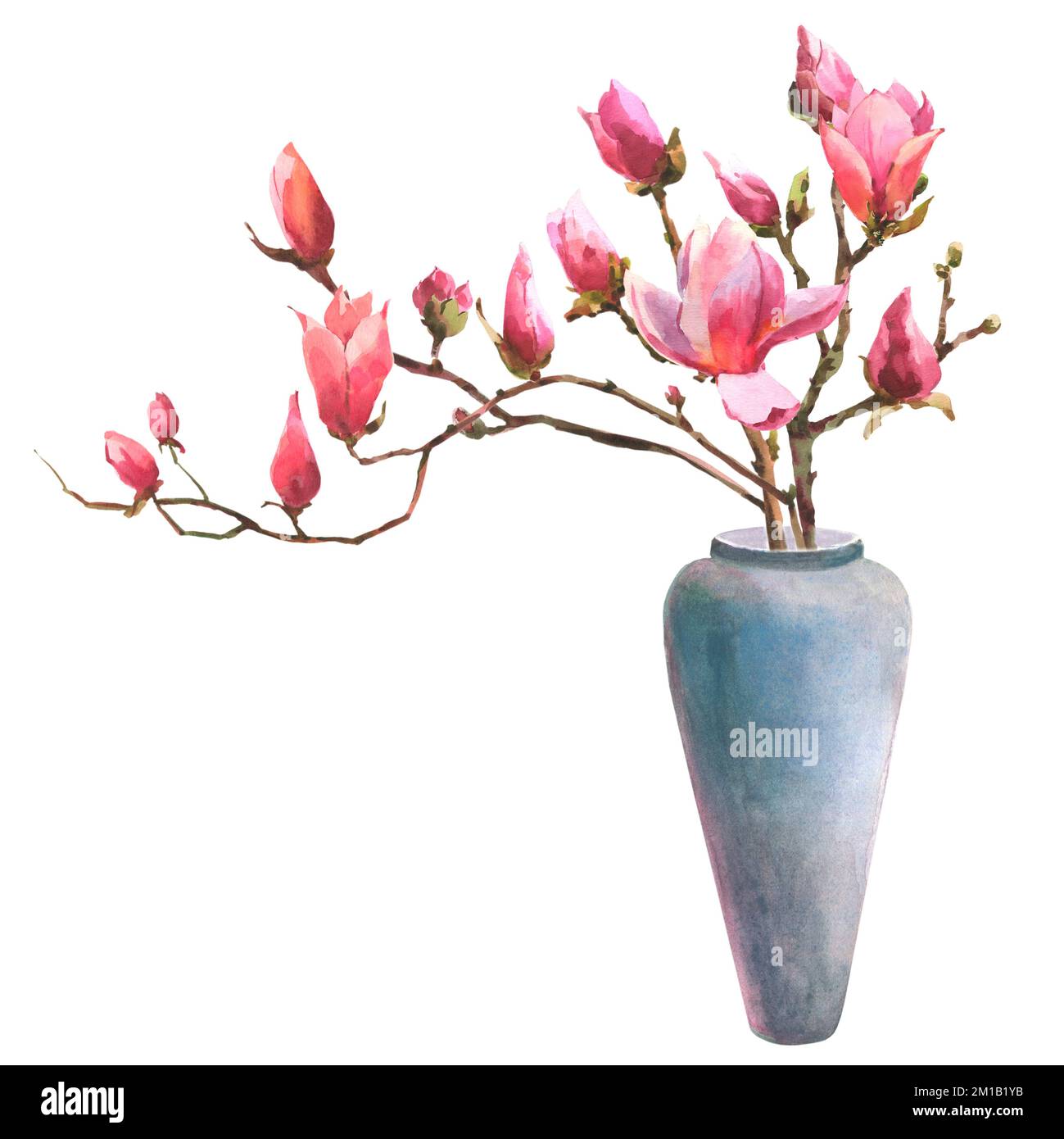 Watercolor illustration of a magnolia branch in a japan vase isolated ...