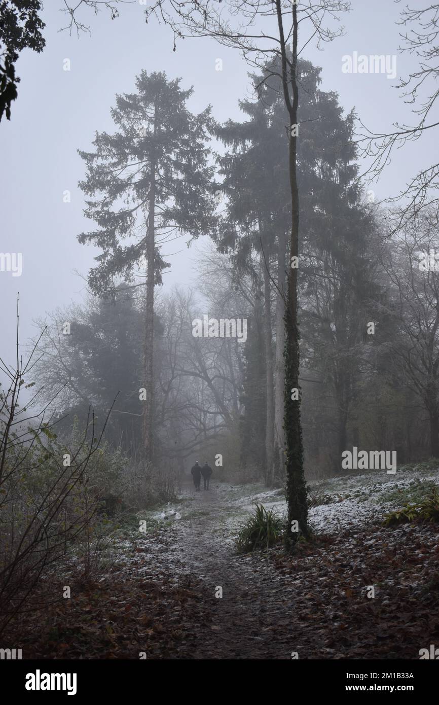 Foggy day misty day hi-res stock photography and images - Alamy