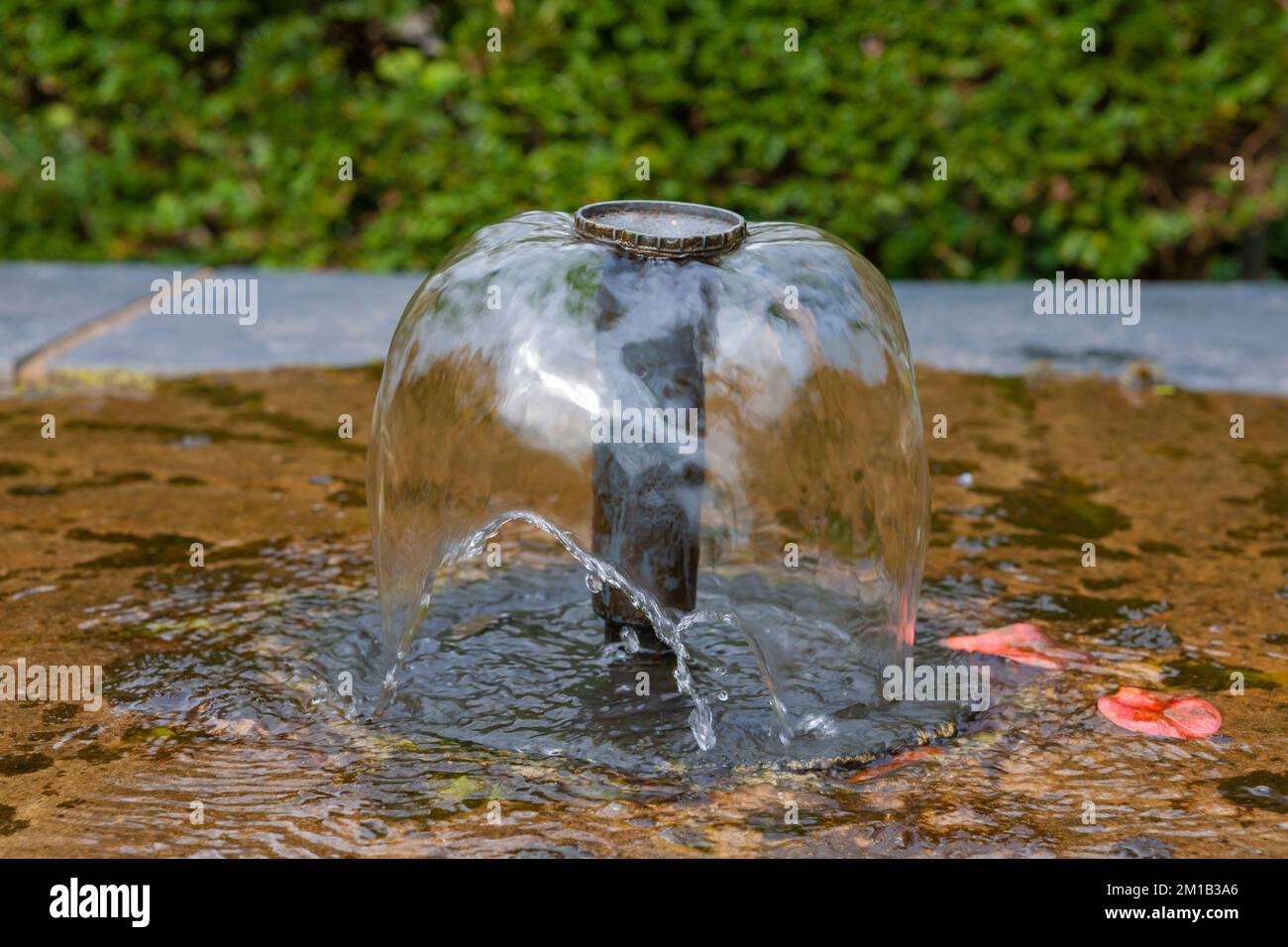 Water feature, RHS Rosemoor, Devon, UK Stock Photo - Alamy