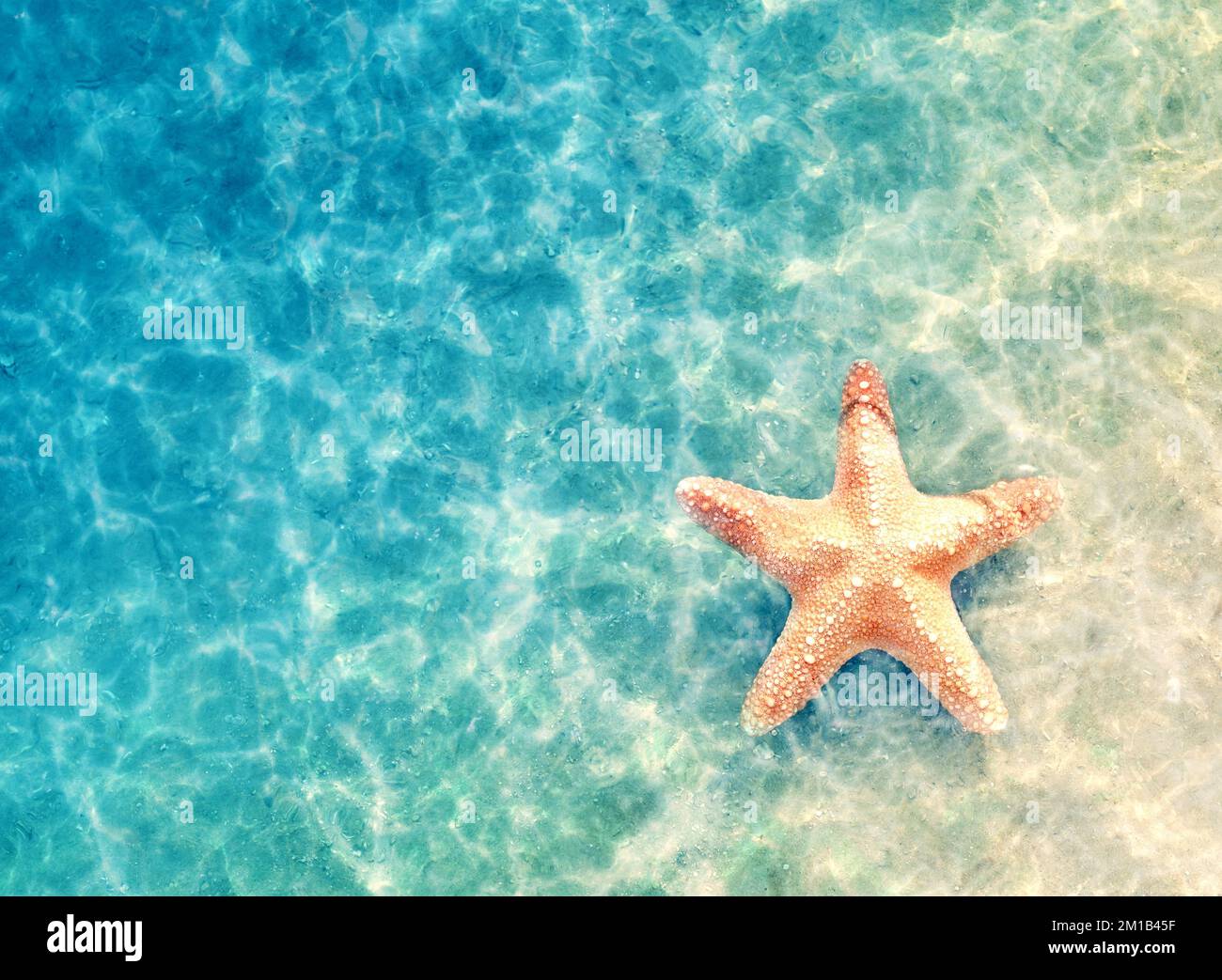 Starfish on the summer beach in sea water. Summer background. Summer ...