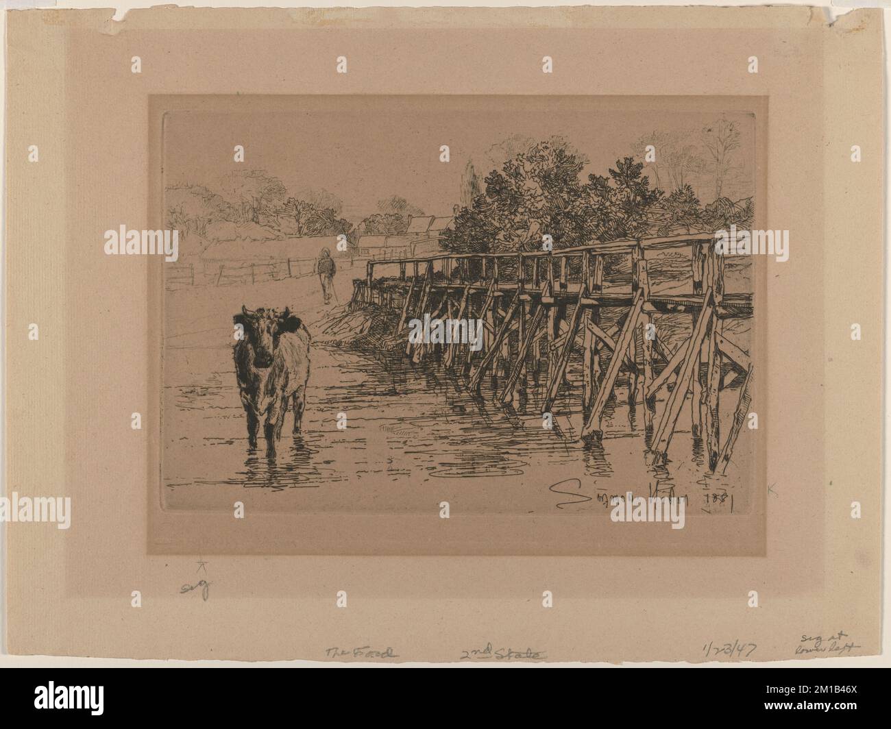 The village ford , Cows, Fences, Albert Heckel Collection Stock Photo ...