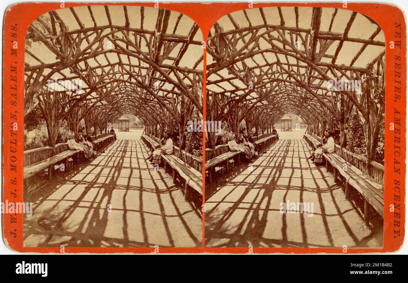 Vine clad arbor (interior) , Parks, Arbors Bowers Stock Photo - Alamy