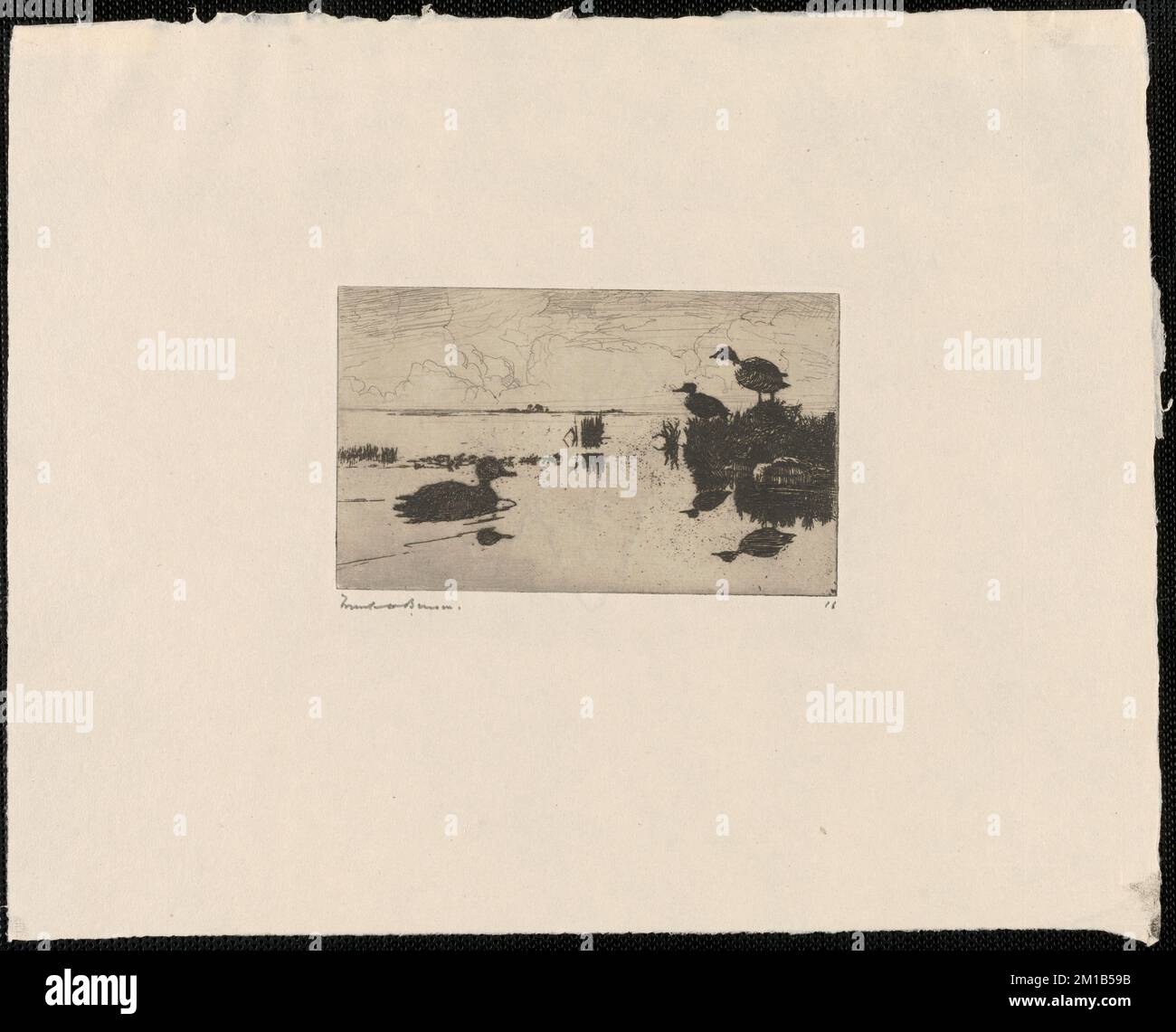 The visitor , Ducks, Bodies of water, Clouds. Frank W. Benson (1862 ...