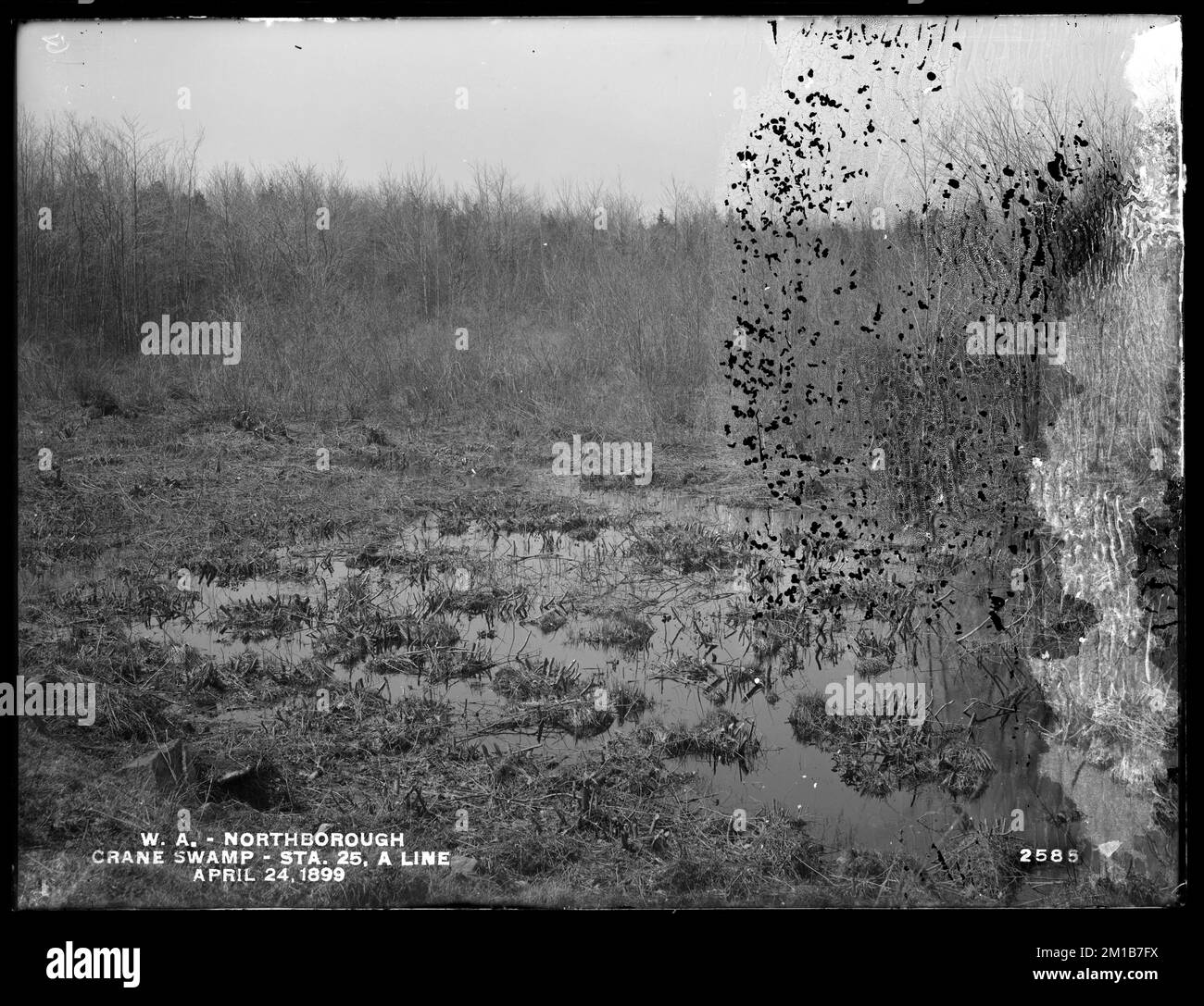 Wachusett Aqueduct, Crane Swamp before improvement, before drainage ...