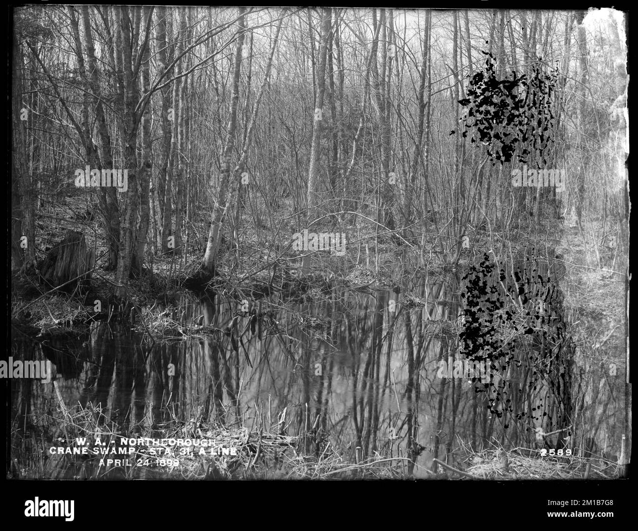Wachusett Aqueduct, Crane Swamp before improvement, station 31, A Line ...