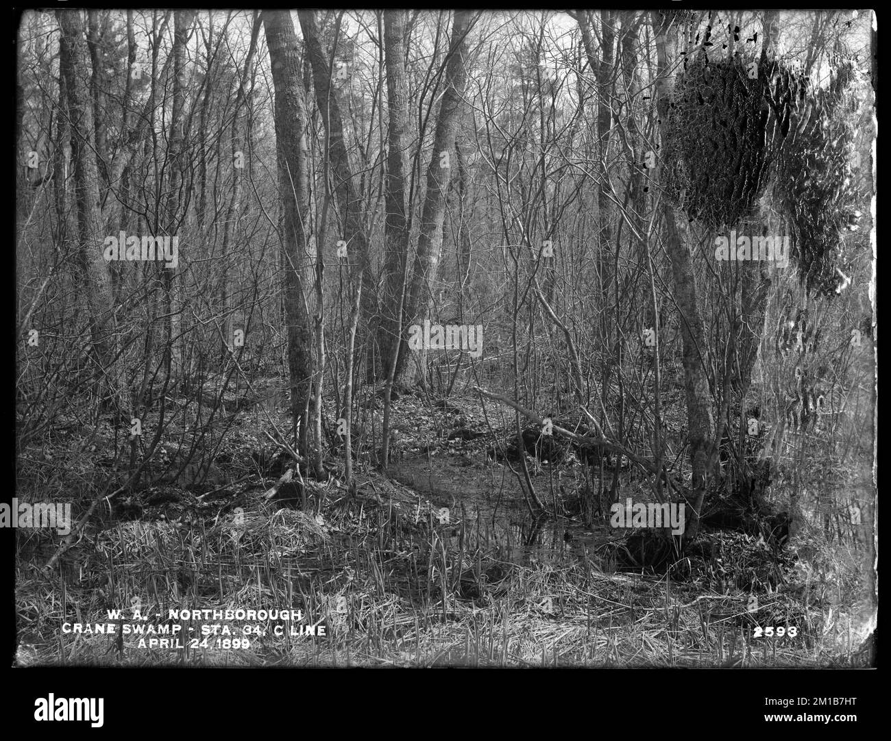 Wachusett Aqueduct, Crane Swamp before improvement, station 34, C Line ...