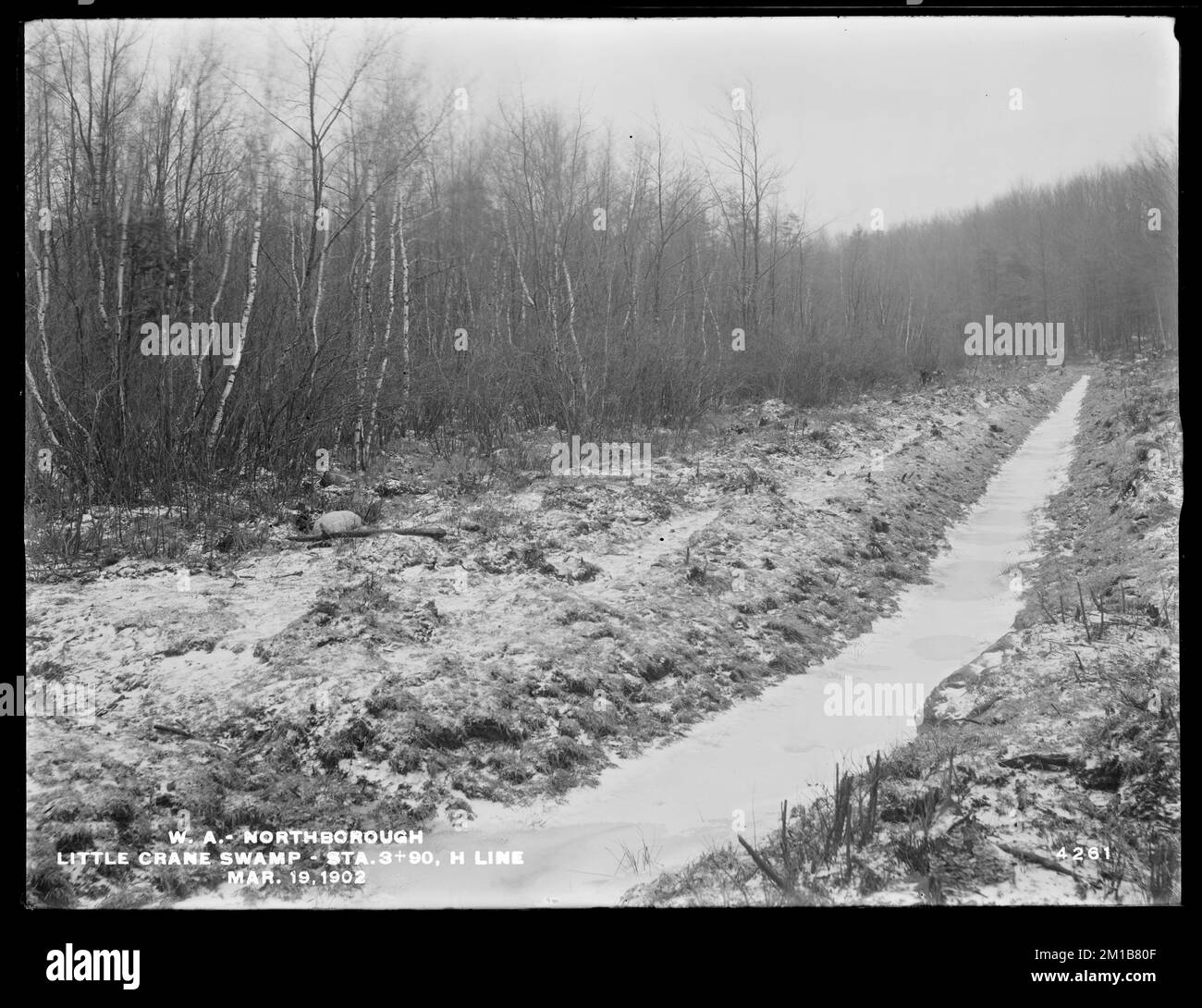 Wachusett Aqueduct, Little Crane Swamp, drainage ditch, station 3+90, H ...