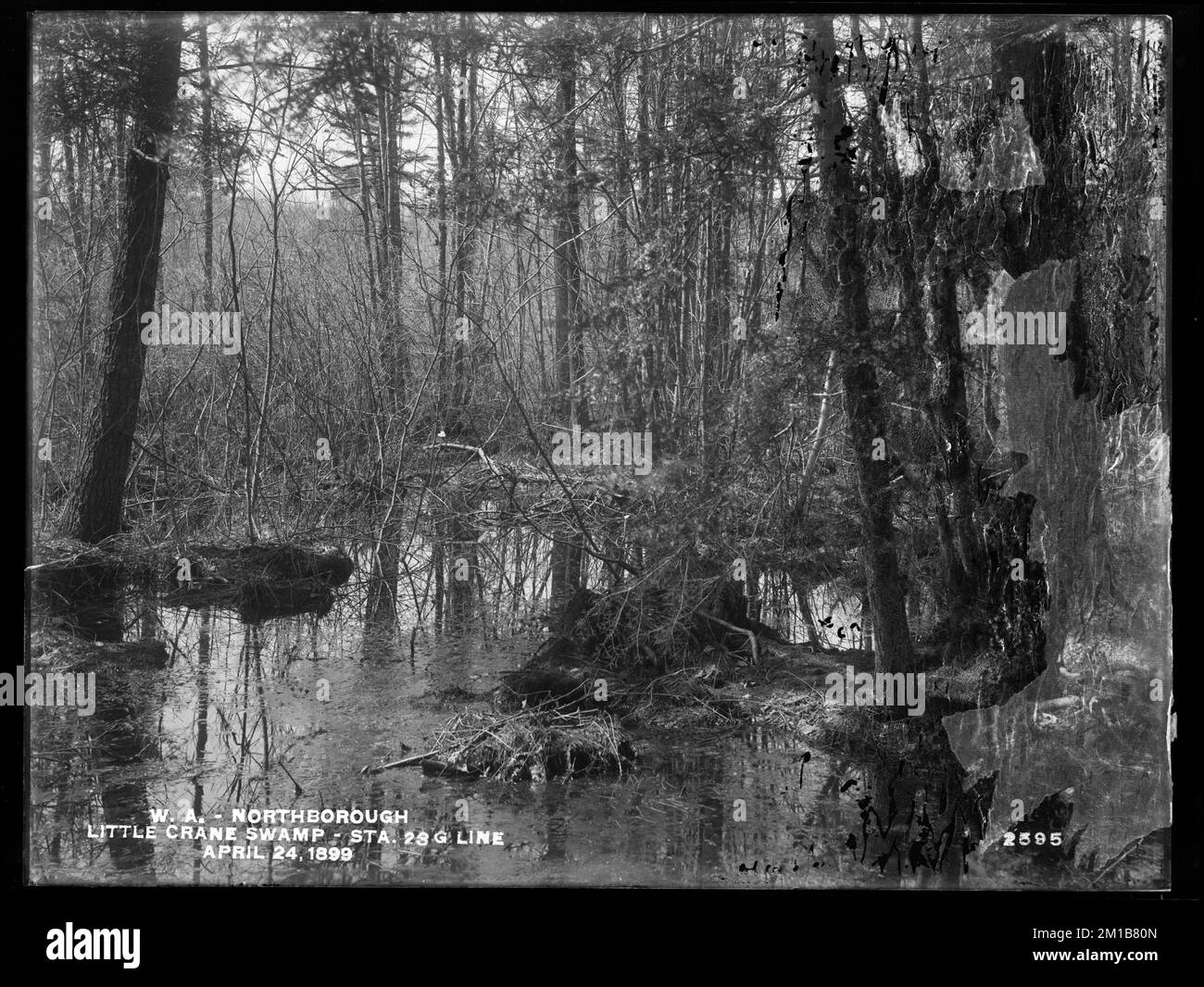 Wachusett Aqueduct, Little Crane Swamp before improvement, station 23 ...