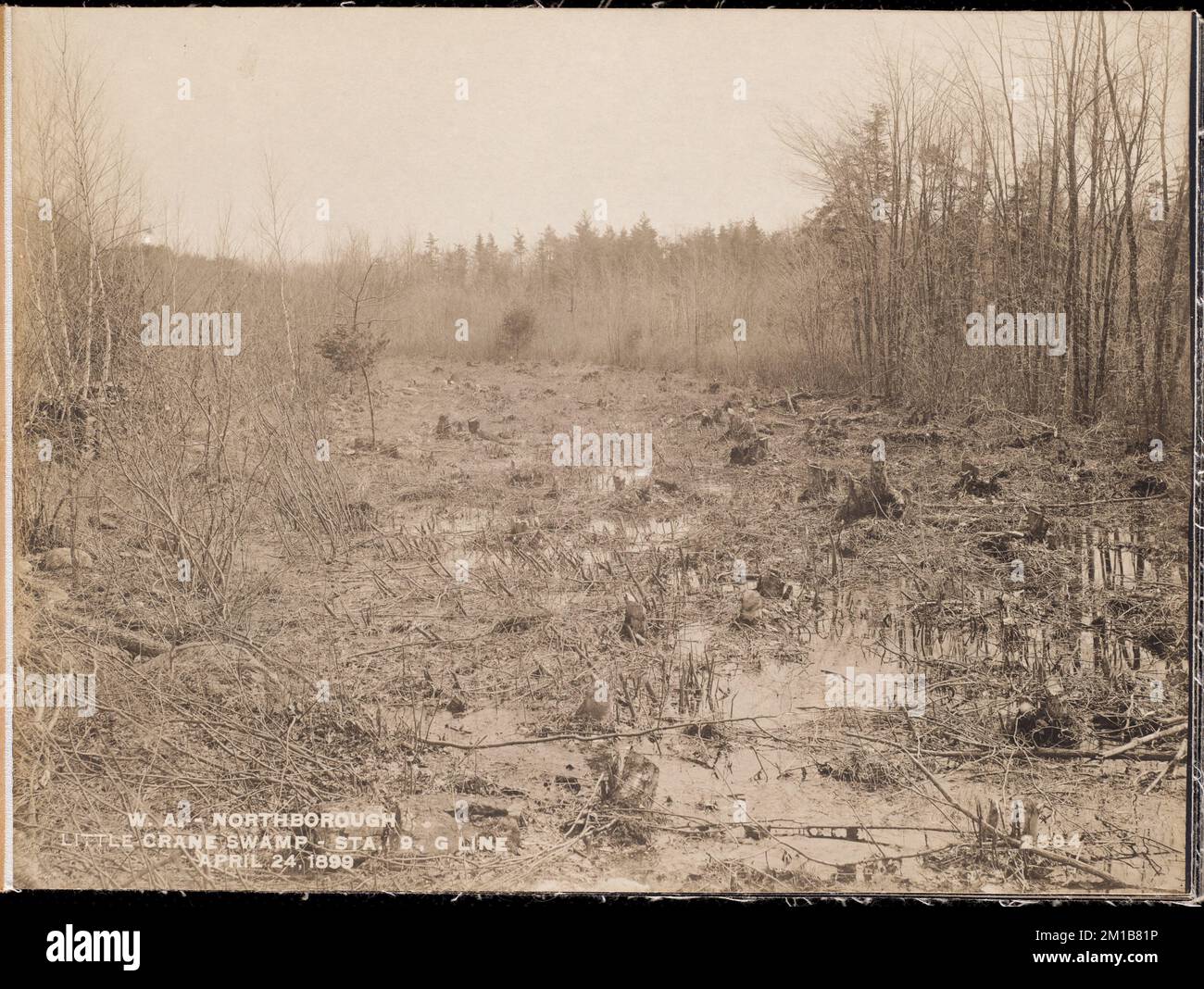 Wachusett Aqueduct, Little Crane Swamp before improvement, station 9, G ...