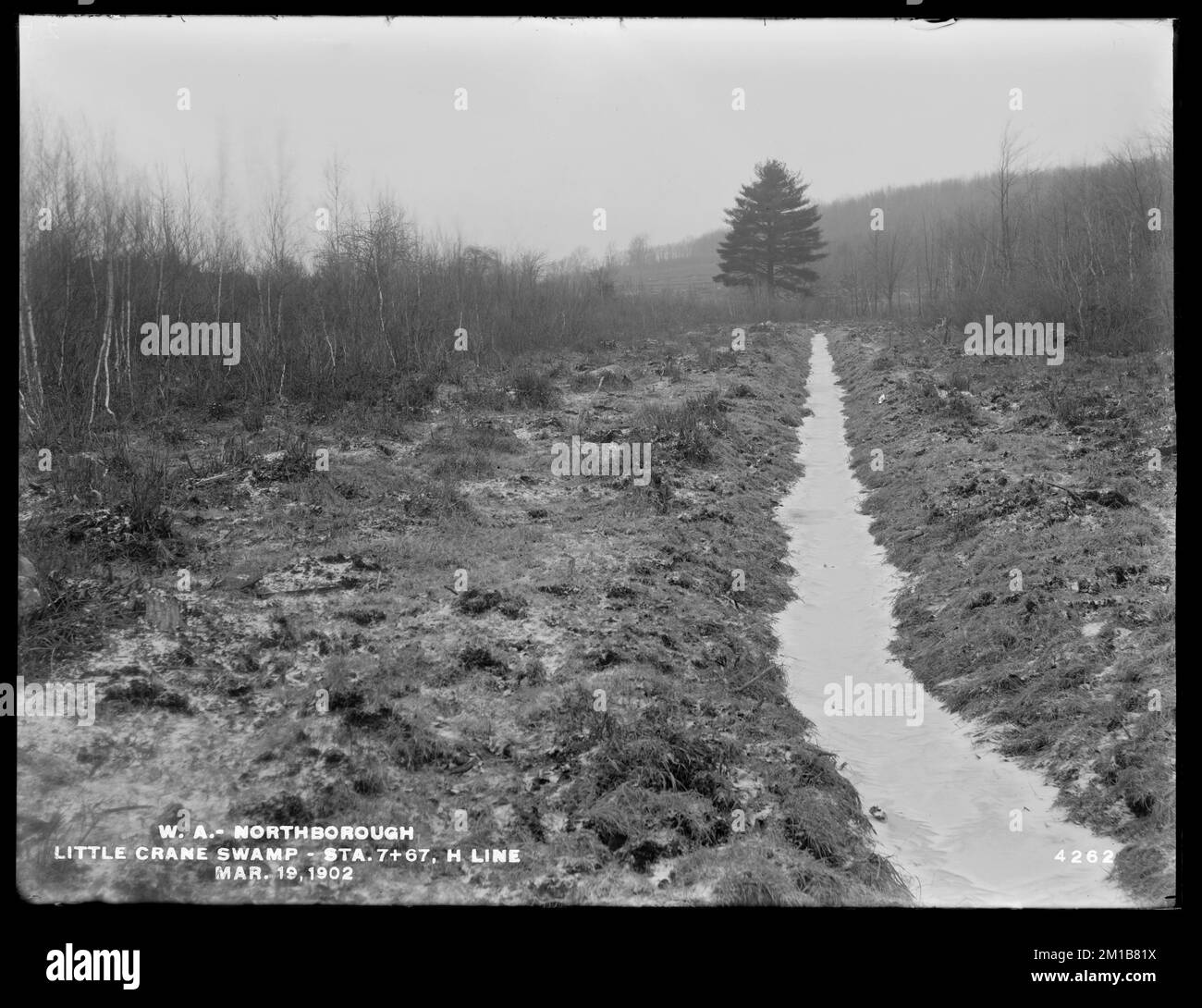 Wachusett Aqueduct, Little Crane Swamp, drainage ditch, station 7+67, H ...