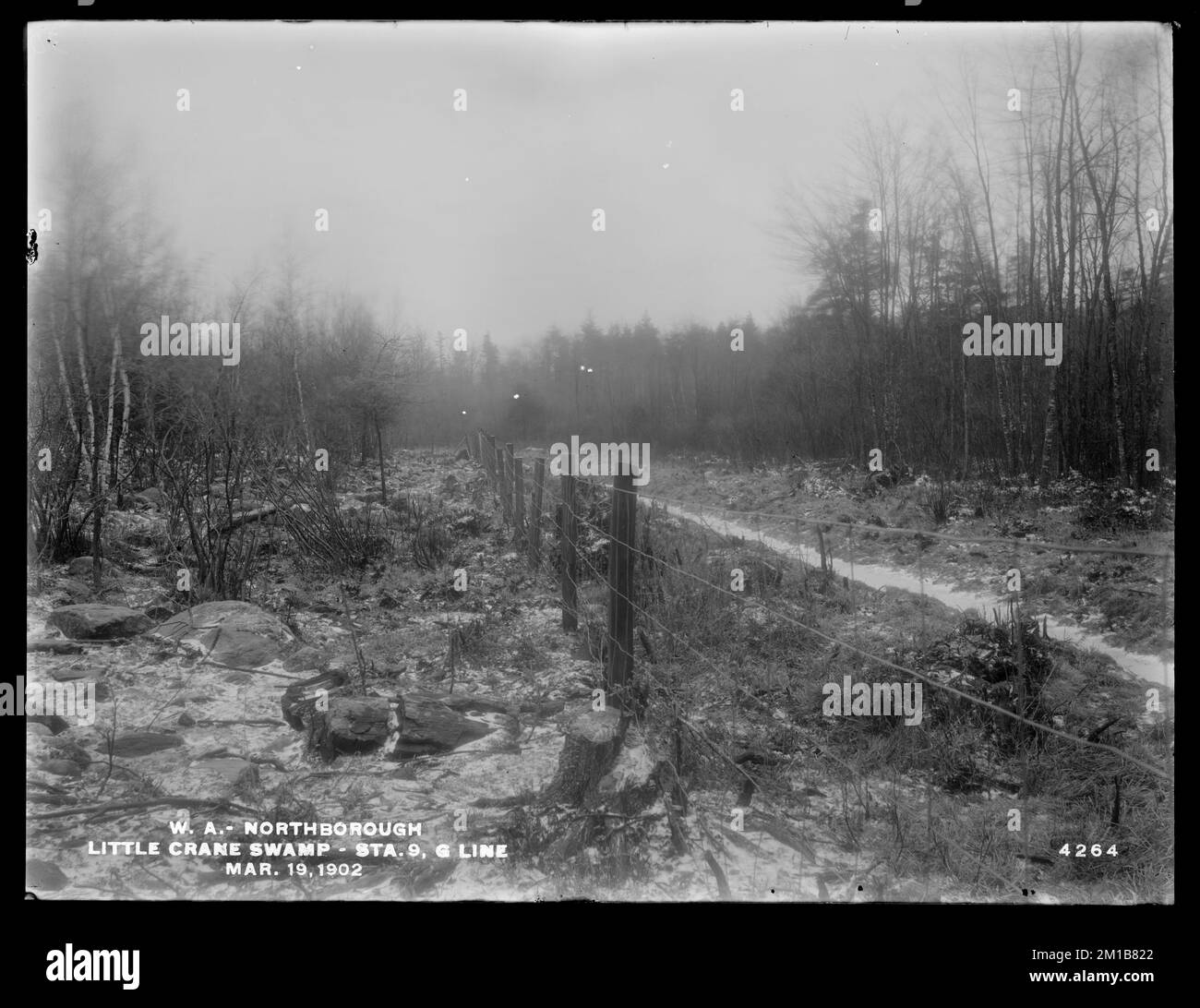 Wachusett Aqueduct, Little Crane Swamp, drainage ditch, station 9, G ...
