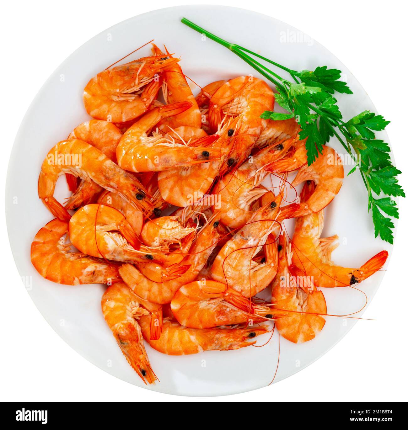 Atlantic prawns cut out hi-res stock photography and images - Alamy