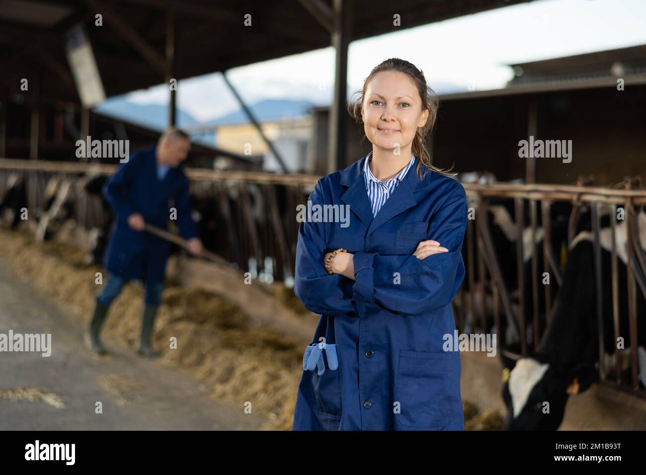 Farmer engaged in breeding of cows posing in cowshed Stock Photo - Alamy