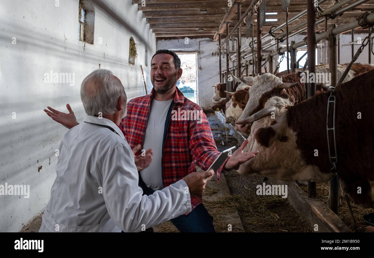 Vet talking to farmer hi-res stock photography and images - Alamy