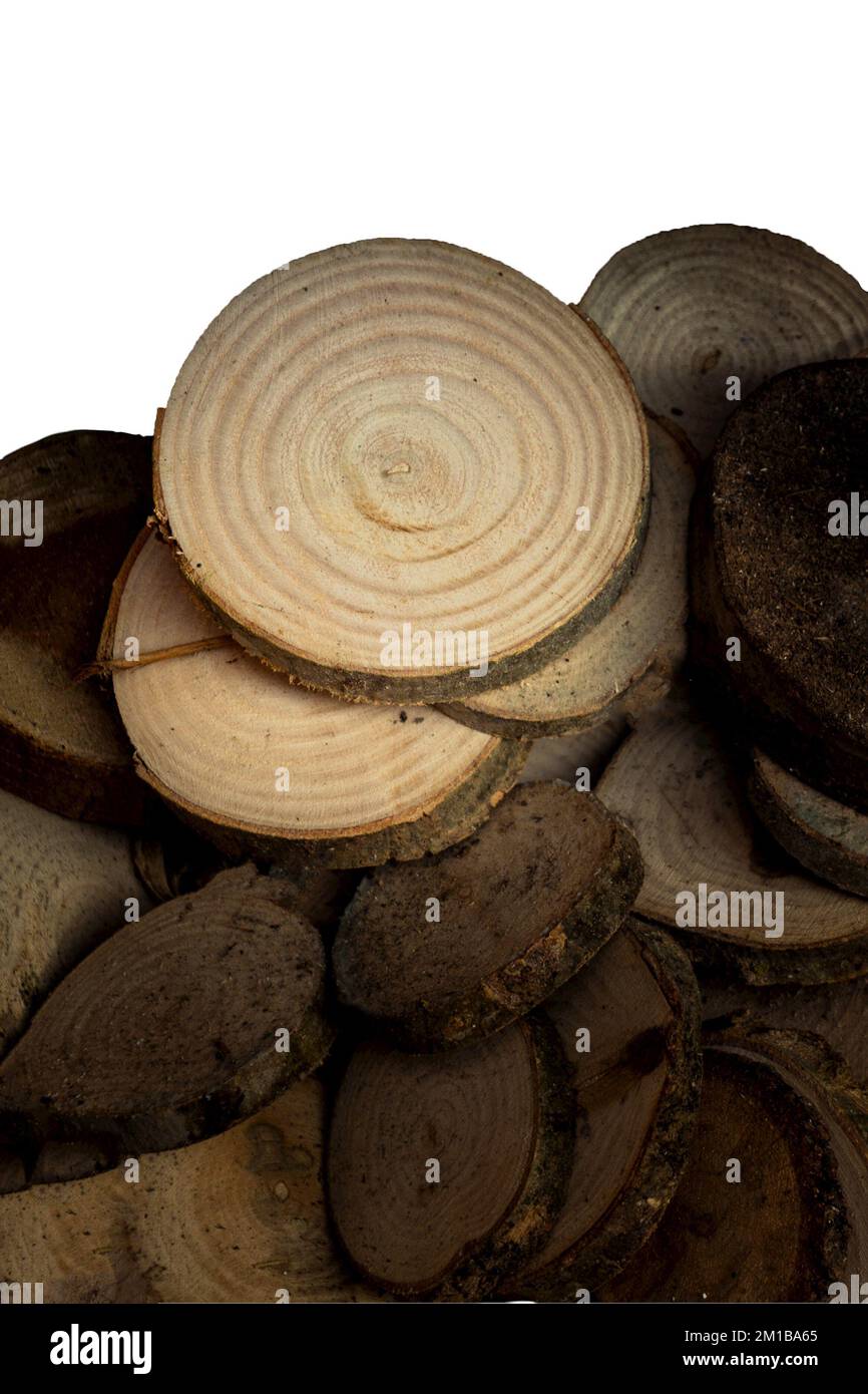 isolated round piece of wood in cross section with a pattern of wood ...