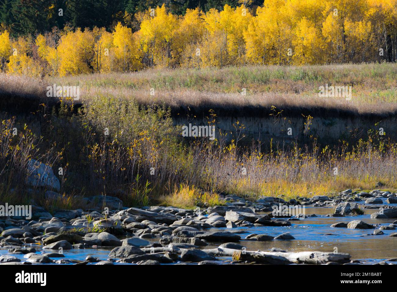 Fall scenery on the trail Stock Photo - Alamy