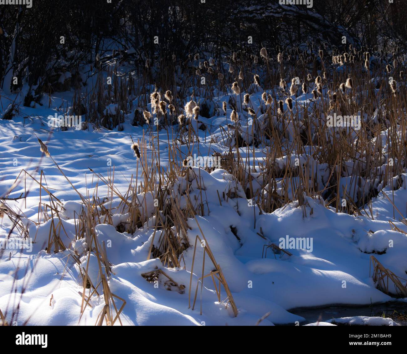 Fresh air catching hi-res stock photography and images - Alamy