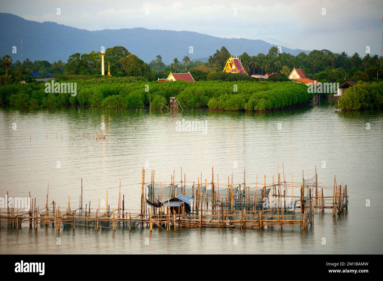 Fishing traps in Net Fishing Thailand, Thailand Shrimp Fishing ...