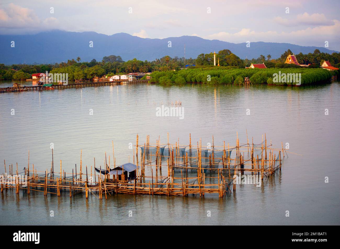 Fishing traps in Net Fishing Thailand, Thailand Shrimp Fishing ...