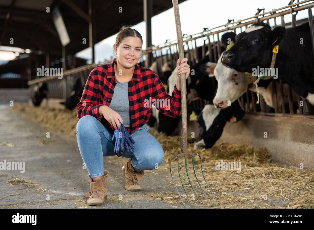 Portrait of positive woman farmer with pitchfork in cowhouse Stock ...