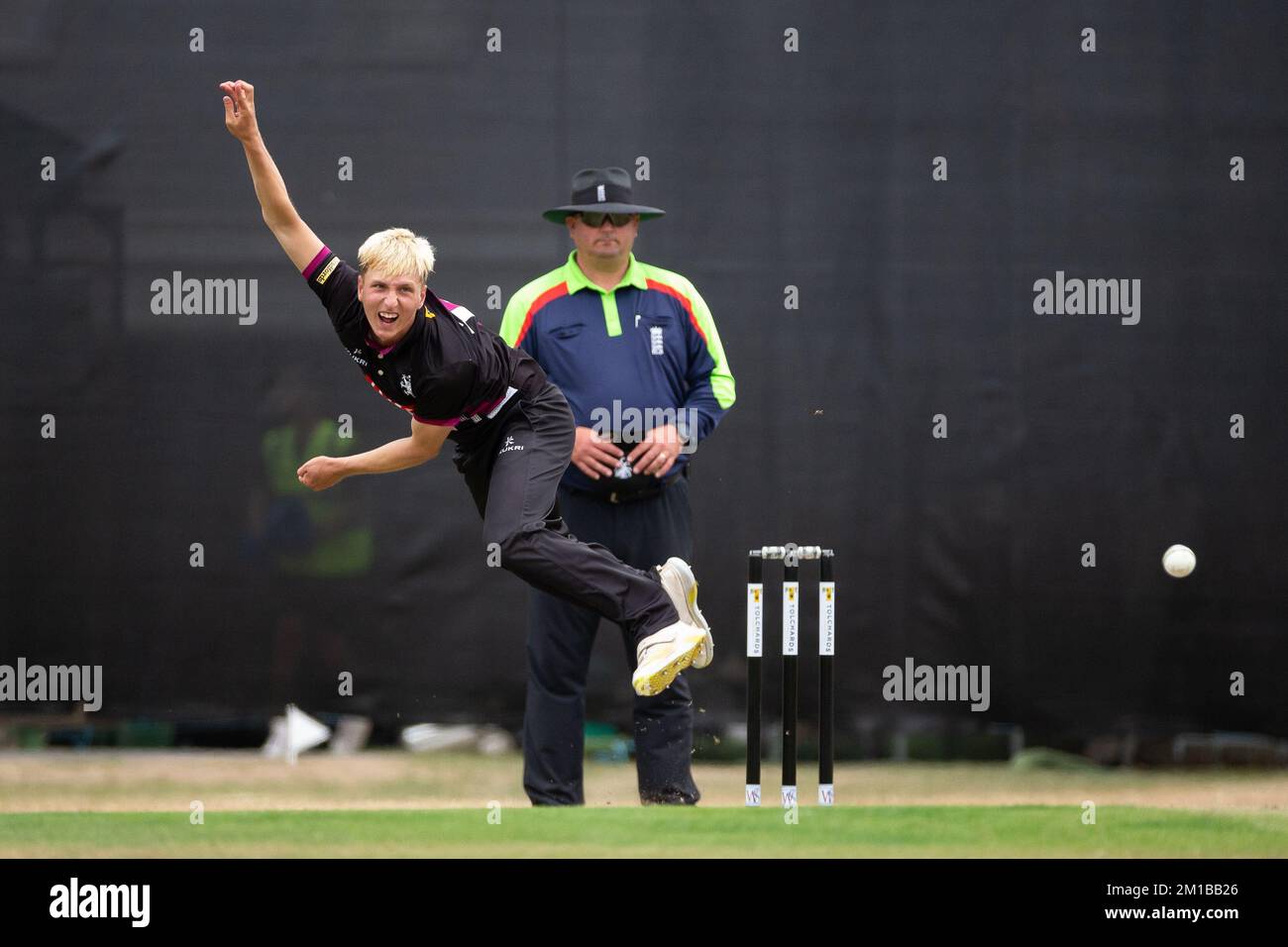 The cricket player Jack Harding from Somerset CCC in a match Stock ...