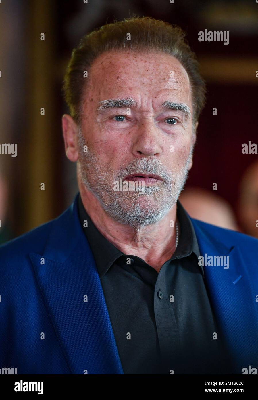 Hollywood actor, bodybuilder and former governor of California (USA ...