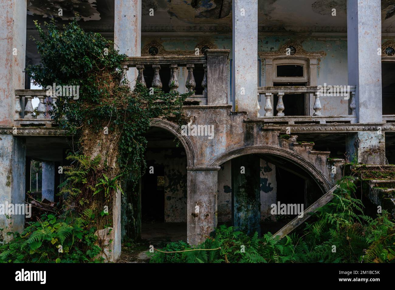 Old ruined abandoned mansion overgrown by ivy. Former Fesenkova manor ...