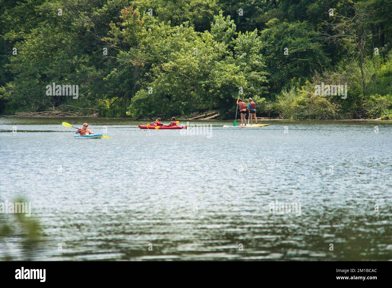 The people kayaking in the lake in Pittsburgh, Pennsylvania Stock Photo ...