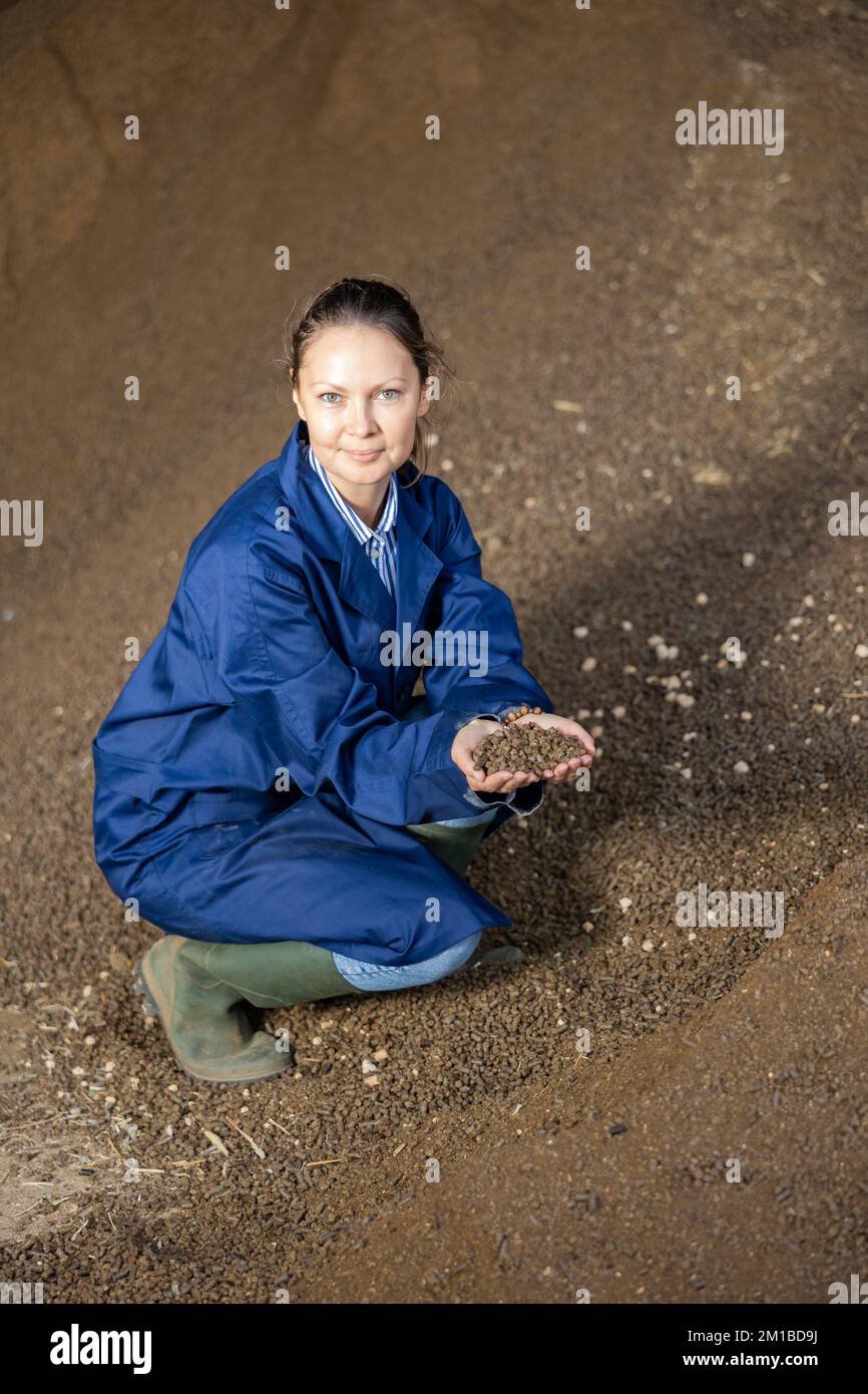 Rapeseed cake hi-res stock photography and images - Alamy