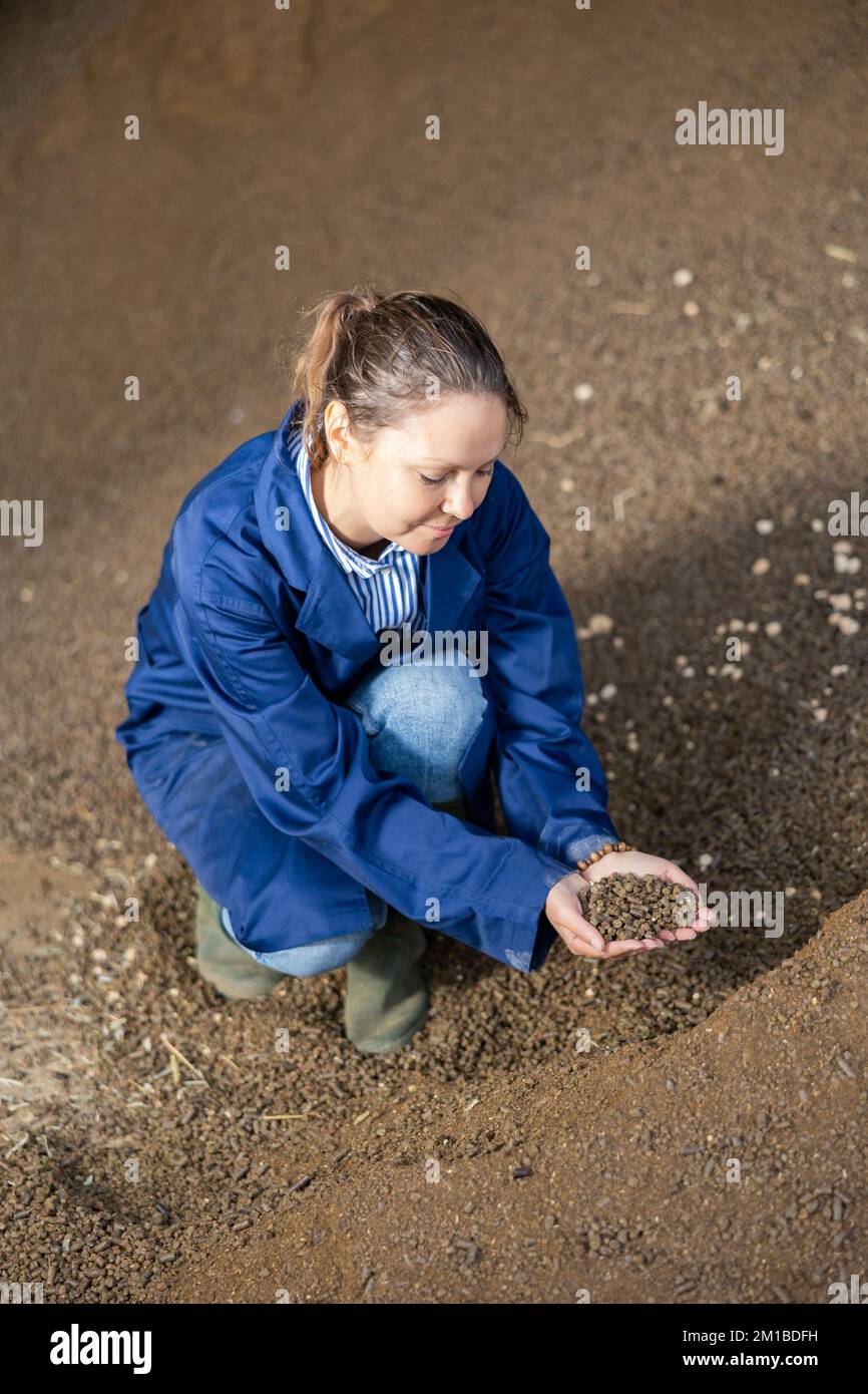 Rapeseed cake hi-res stock photography and images - Alamy