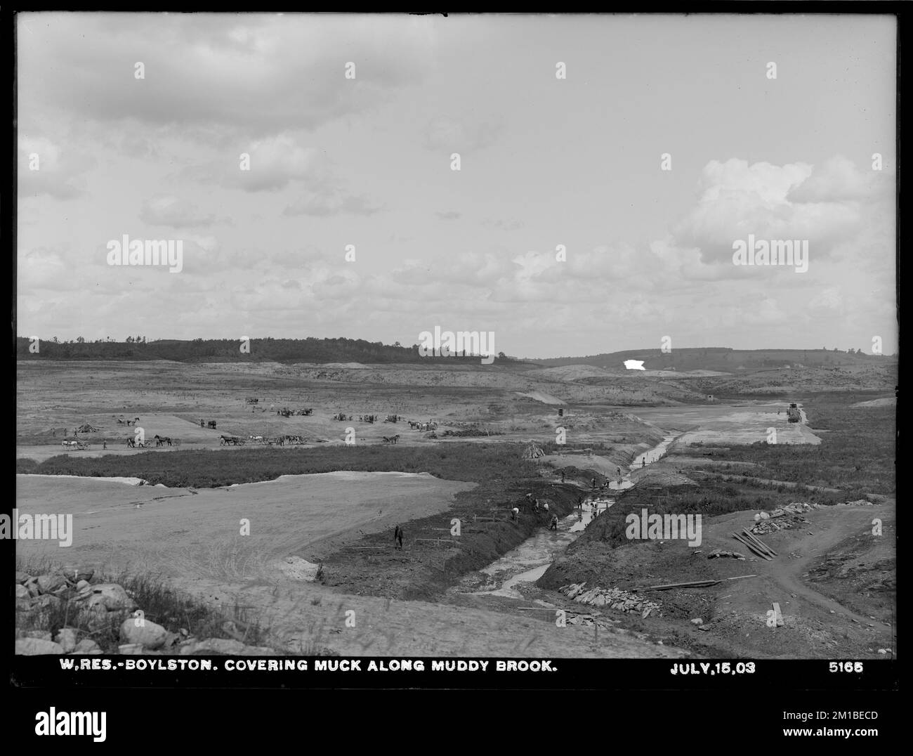 Wachusett Reservoir, covering muck along Muddy Brook, Boylston, Mass ...