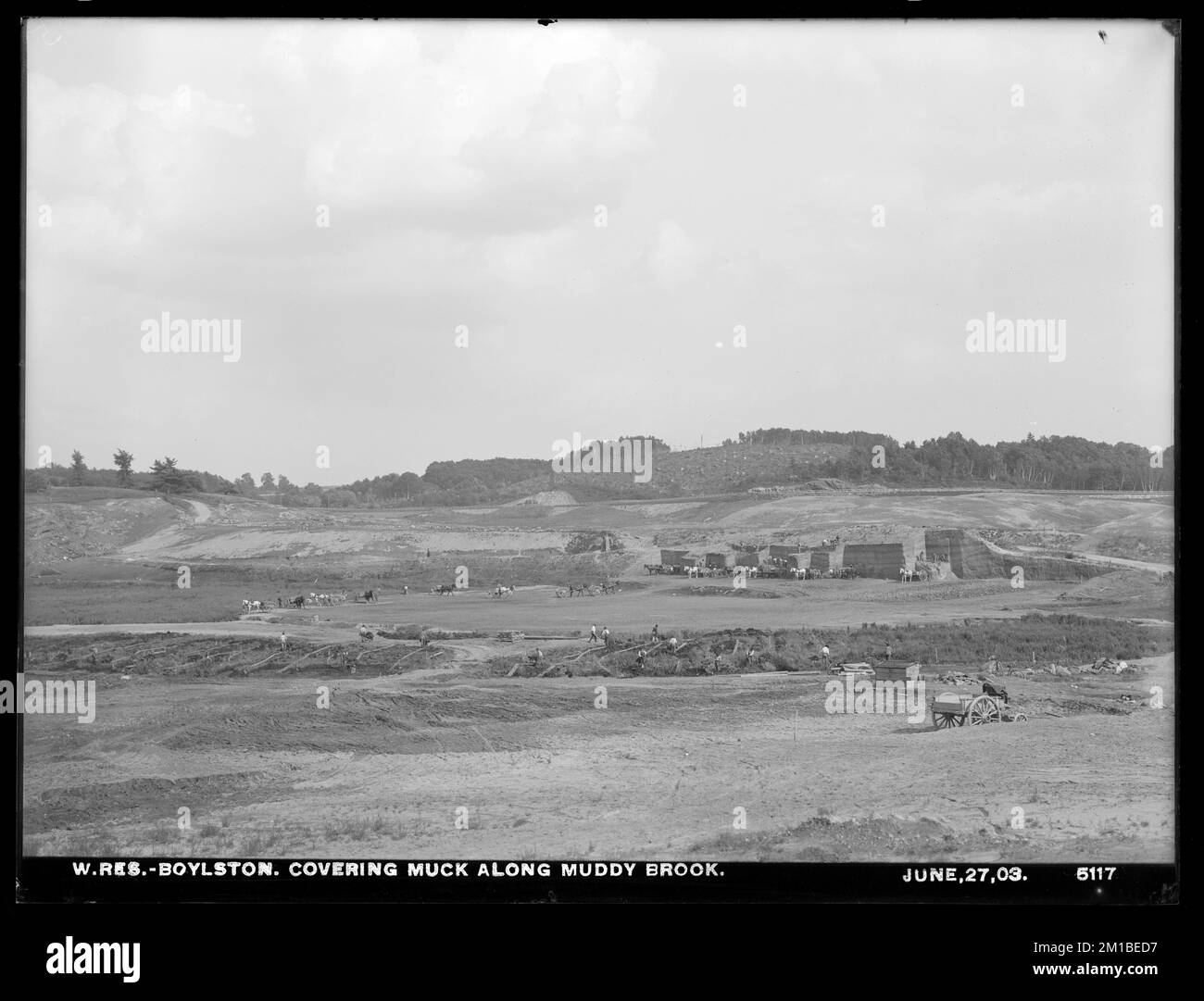 Wachusett Reservoir, covering muck along Muddy Brook, Boylston, Mass ...