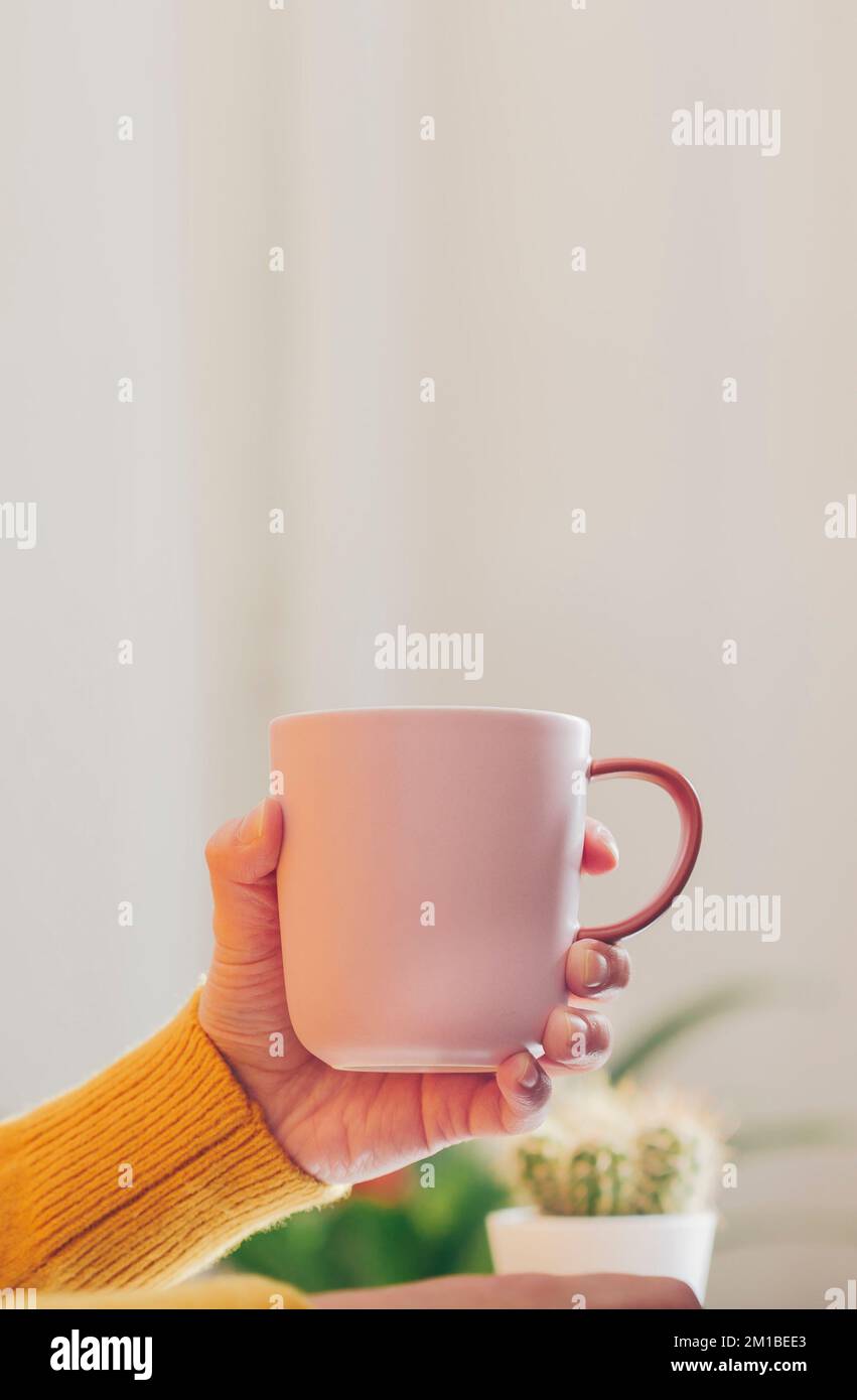 Woman's hands with coffee cup in workspace. Business meeting concept ...