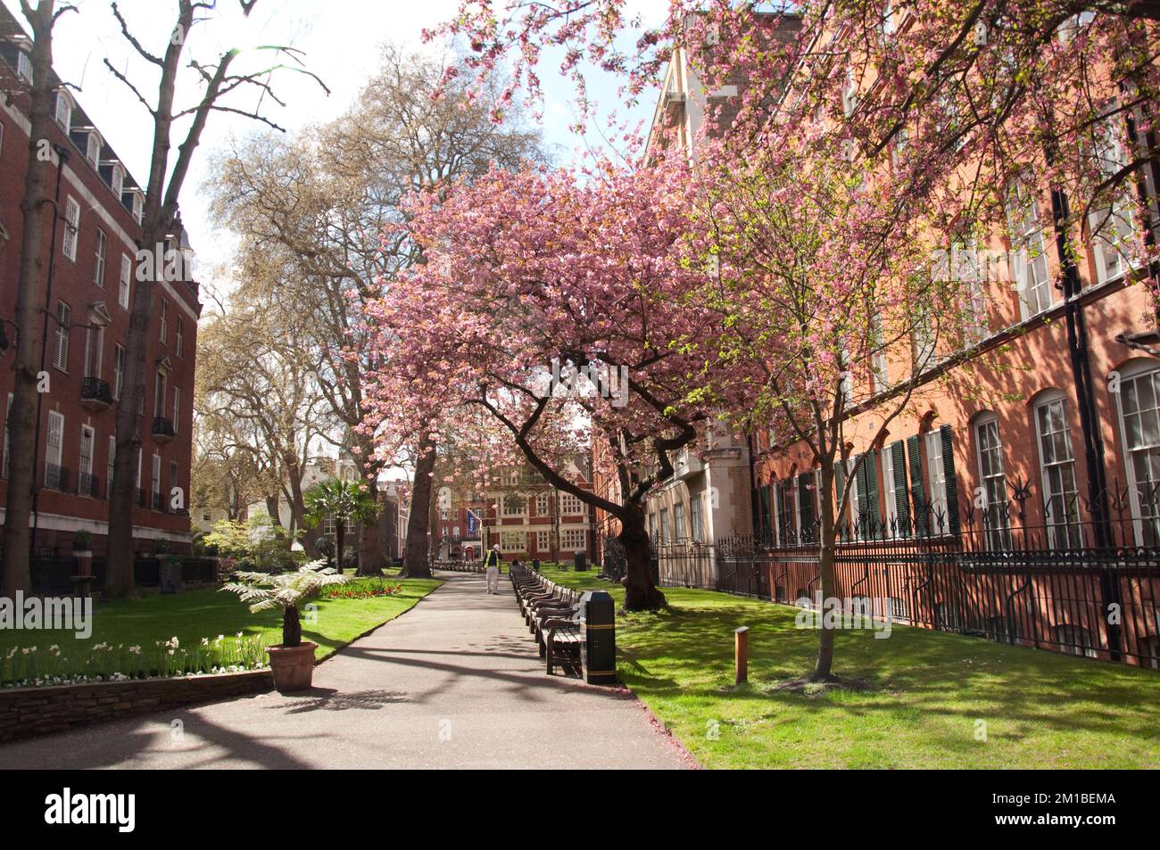 Mount Street Gardens, Mayfair, Westminster, London, UK. Peaceful garden ...