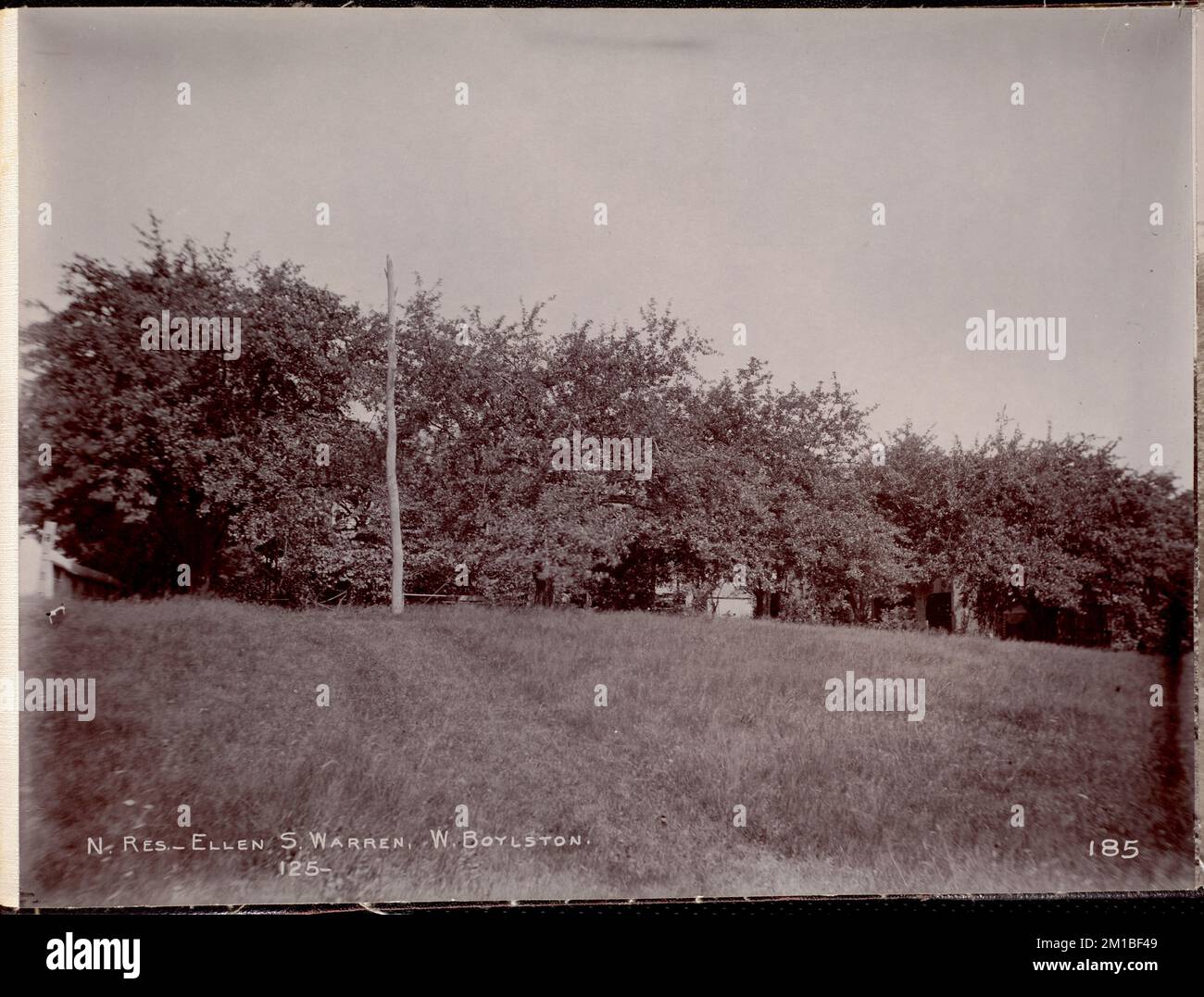 Ellen holbrook hi-res stock photography and images - Alamy