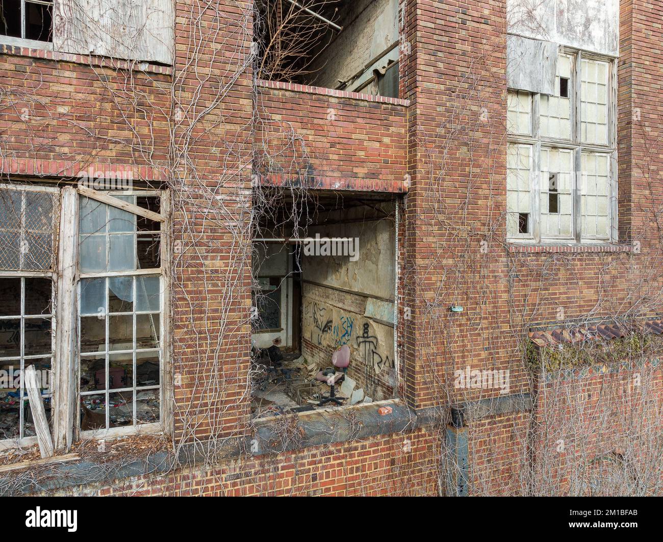 Carr School, abandoned school in north St Louis Stock Photo - Alamy