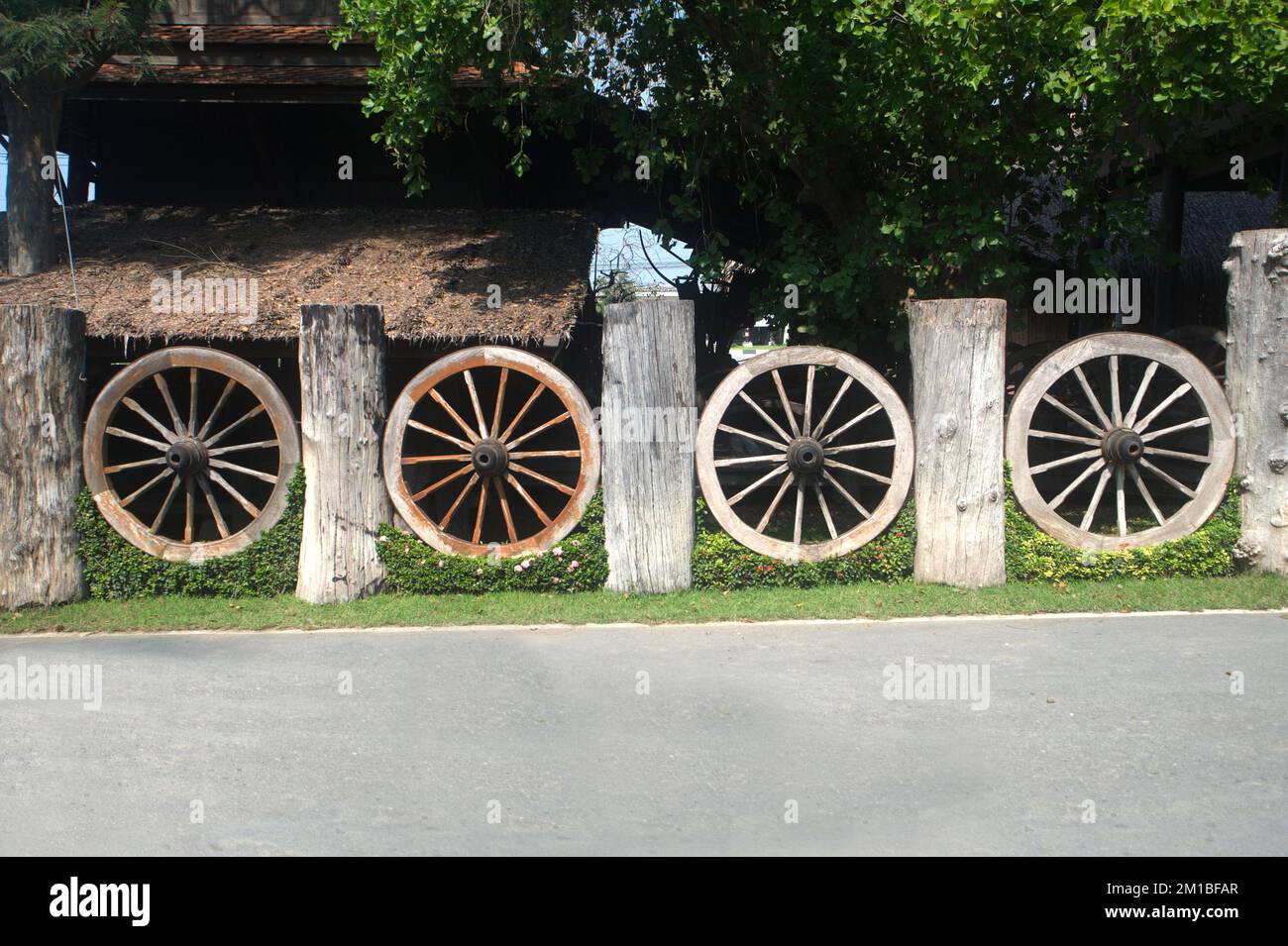 An old wheel of a traditional cart leaning on a wooden fence Stock ...