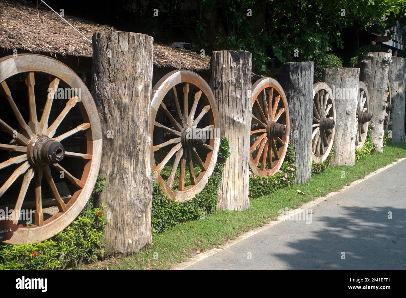 An old wheel of a traditional cart leaning on a wooden fence Stock ...