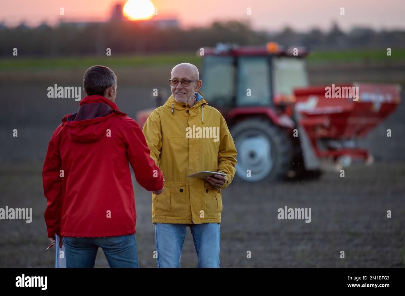 Two senior farmers shaking hands in field at sunset in fall time, while ...
