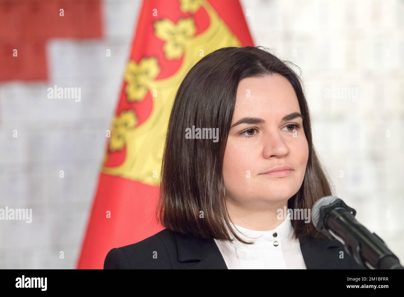 Sviatlana Tsikhanouskaya, the leader of the Belarusian democratic ...