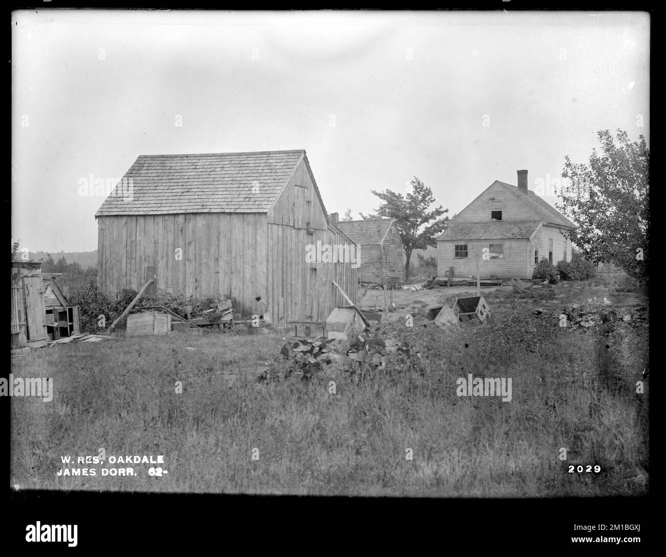 Real laurel hi-res stock photography and images - Alamy