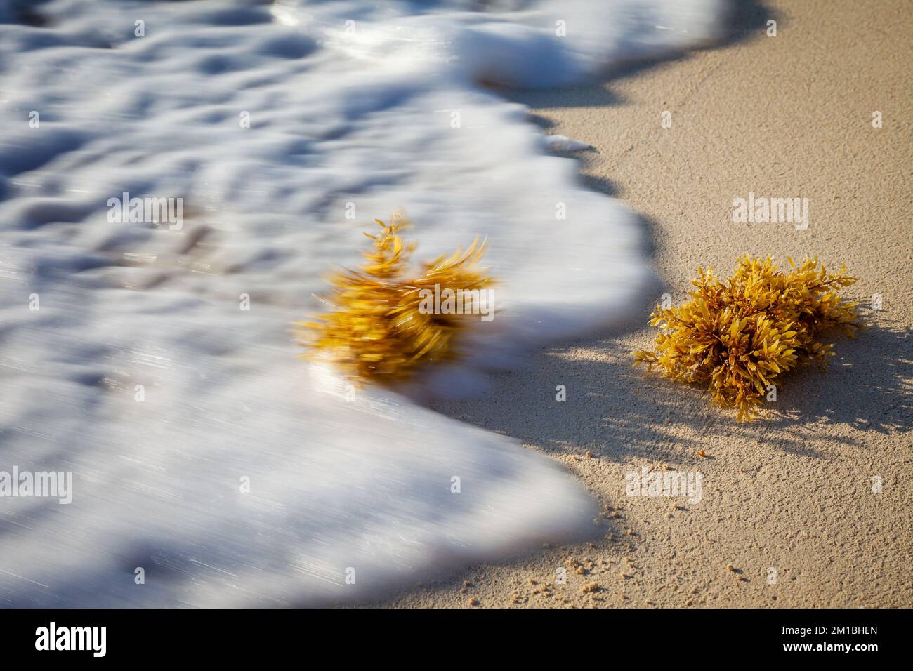 Cancun idyllic caribbean beach at sunset, Riviera Maya, Mexico Stock ...