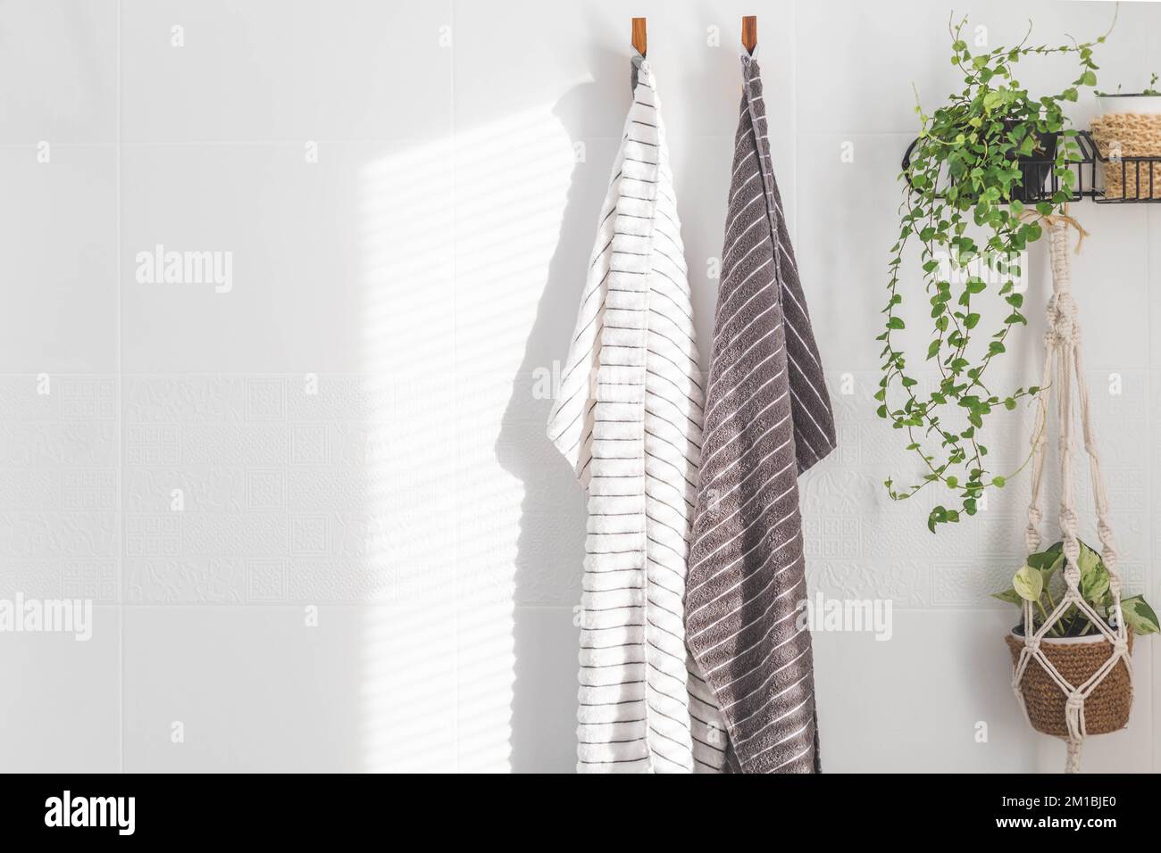 Family towels hanging sunny light white bathroom wall spa shower ...