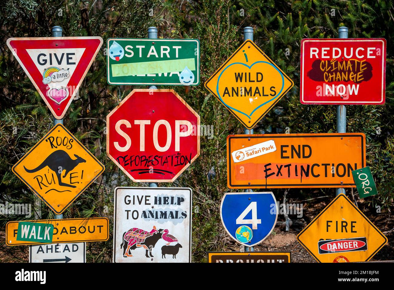Colorful signs on poles in front of trees at San Diego Safari Park ...