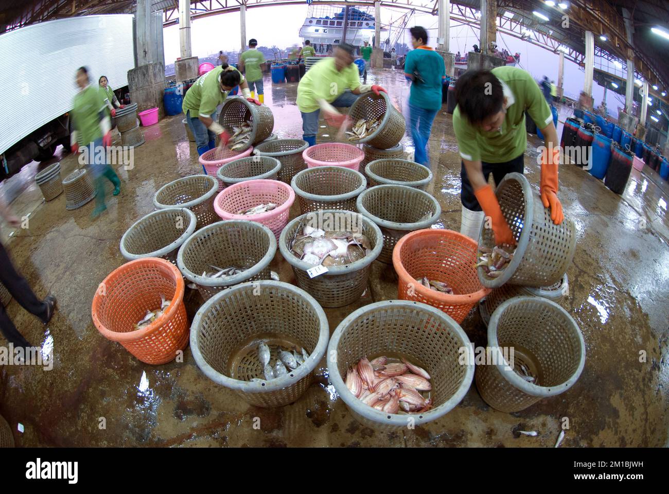 Talaythai seafood market, Trading center of fish and seafood products ...