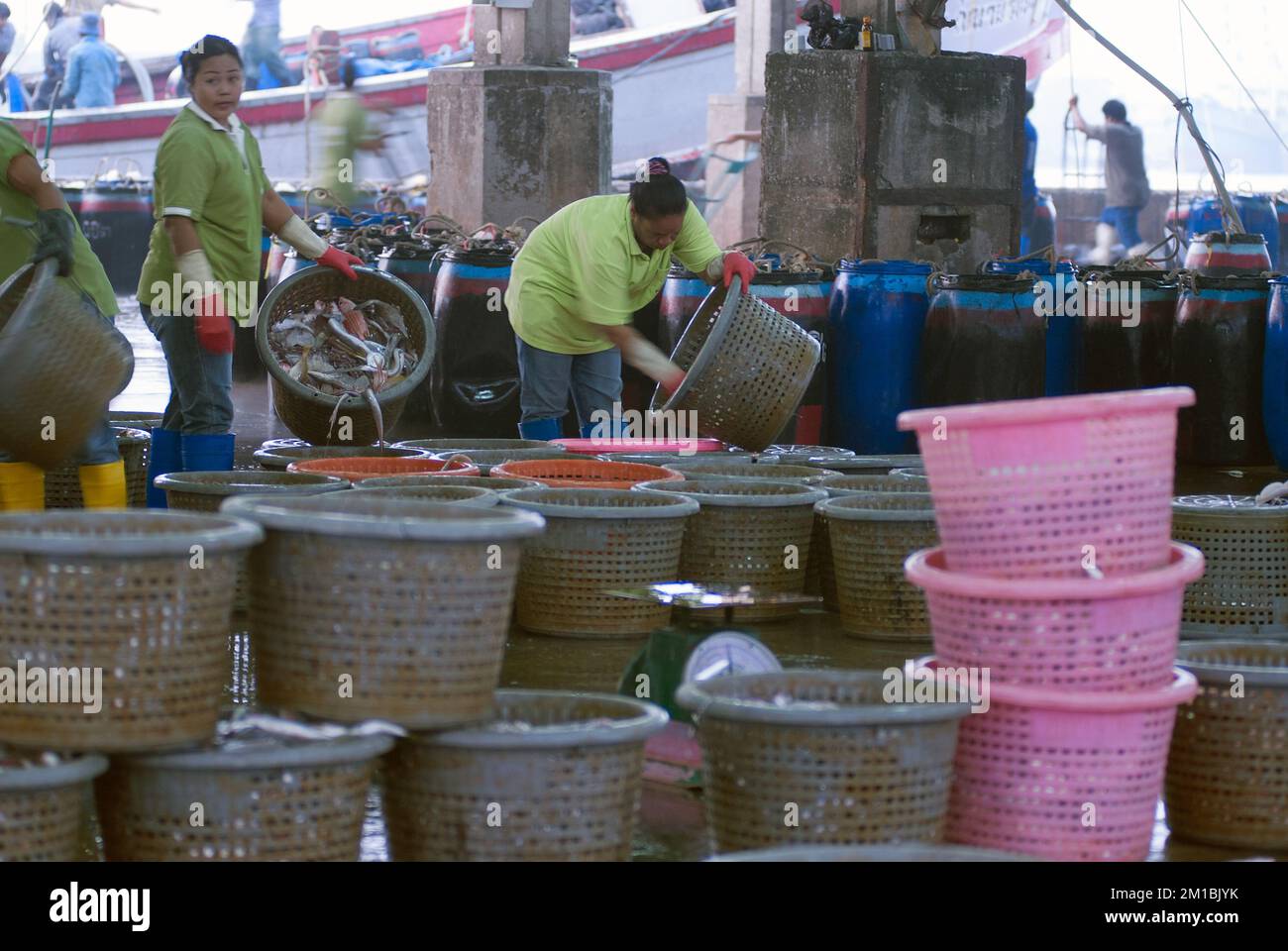 Talaythai seafood market, Trading center of fish and seafood products ...