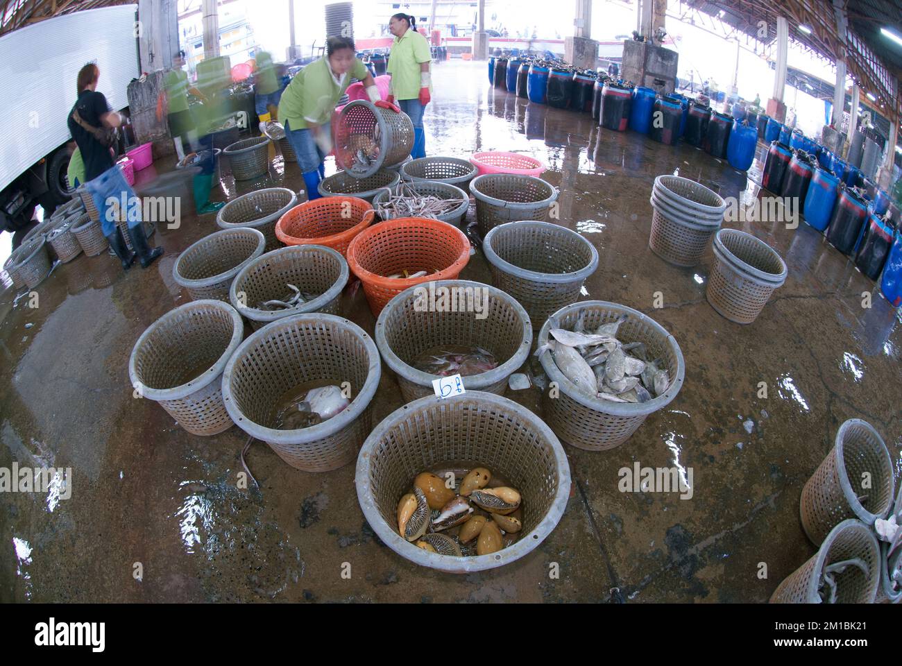 Talaythai seafood market, Trading center of fish and seafood products ...